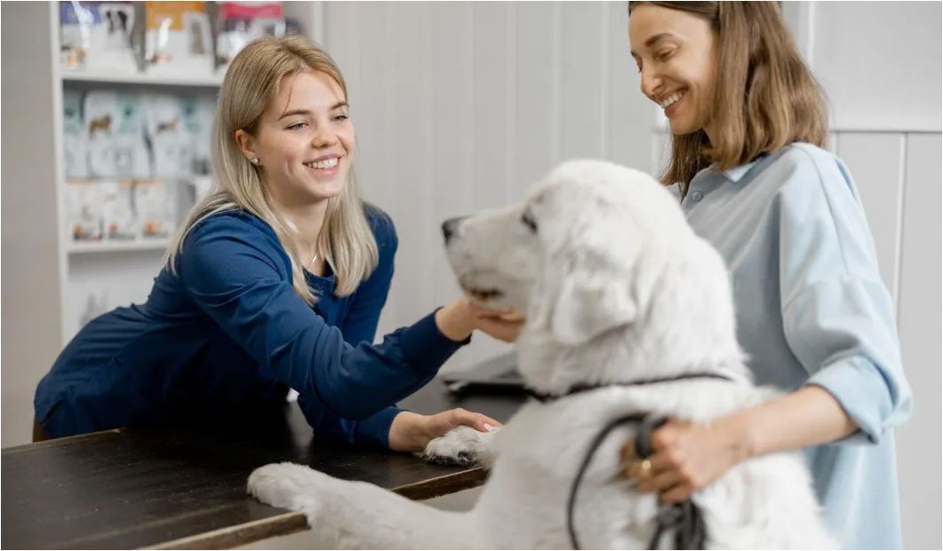 Como organizar melhor seu Pet Shop e garantir mais produtividade | Blog ...